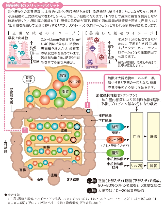 Part1．褥瘡ケアと栄養管理の基礎知識全5回④｜かんかん！ 看護師のためのwebマガジン By 医学書院